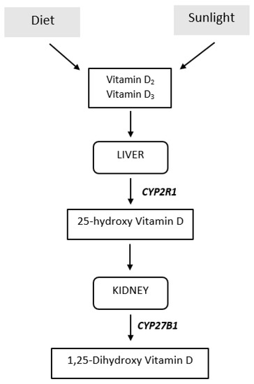 Rickets in Children: An Update