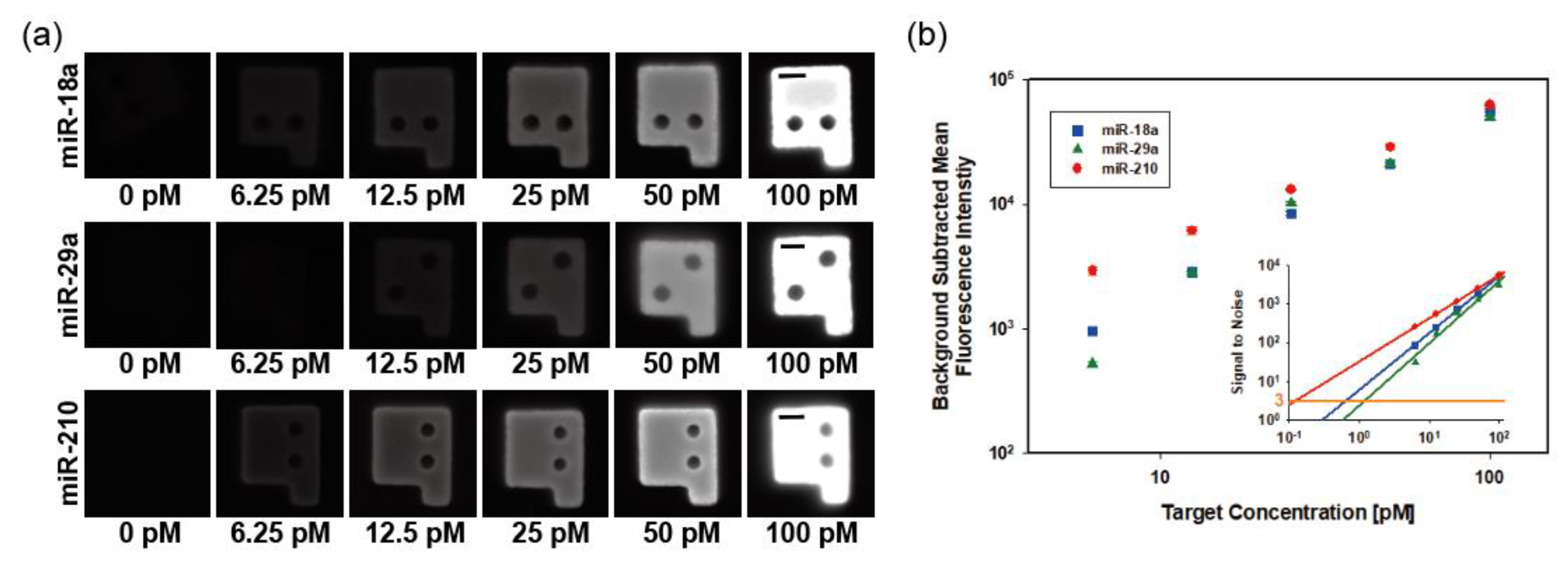 Highly Magnetized Encoded Hydrogel Microparticles with Enhanced Rinsing ...