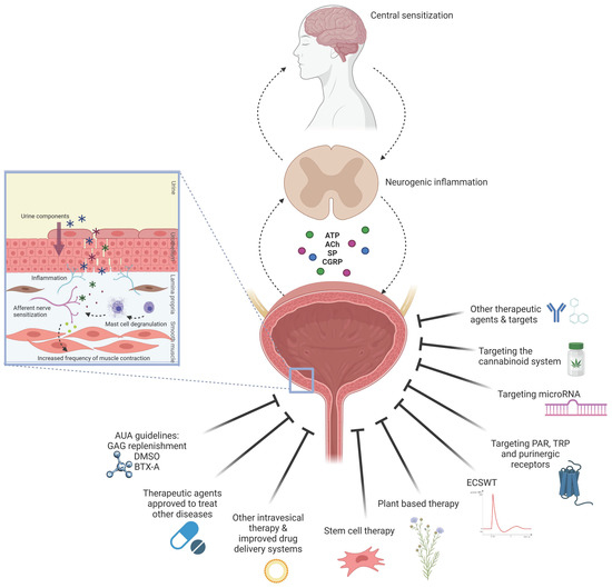 A Systematic Review of Therapeutic Approaches Used in Experimental ...