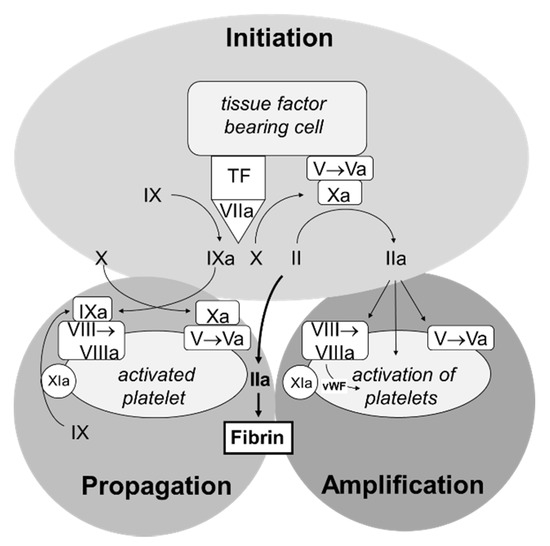 Platelet-Therapeutics to Improve Tissue Regeneration and Wound Healing ...