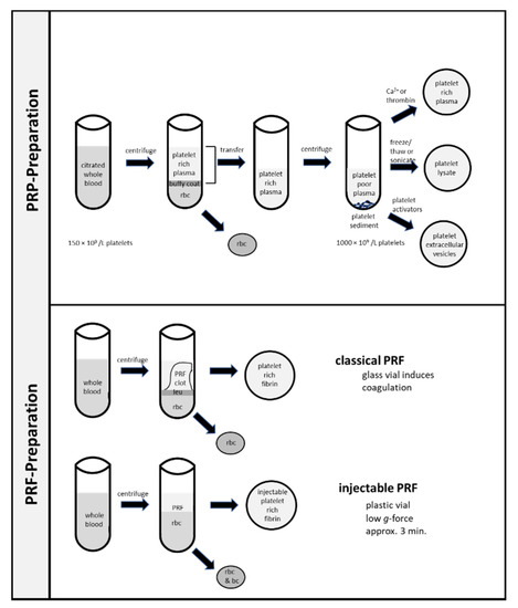 Platelet-Therapeutics to Improve Tissue Regeneration and Wound Healing ...