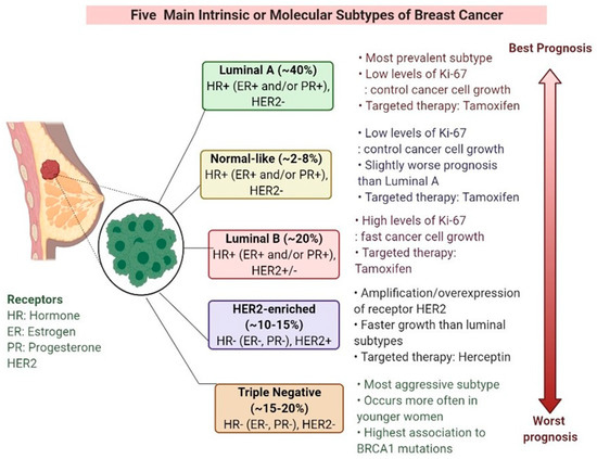 TNBC: Potential Targeting of Multiple Receptors for a Therapeutic ...