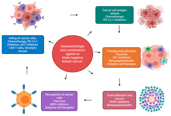 TNBC: Potential Targeting of Multiple Receptors for a Therapeutic ...