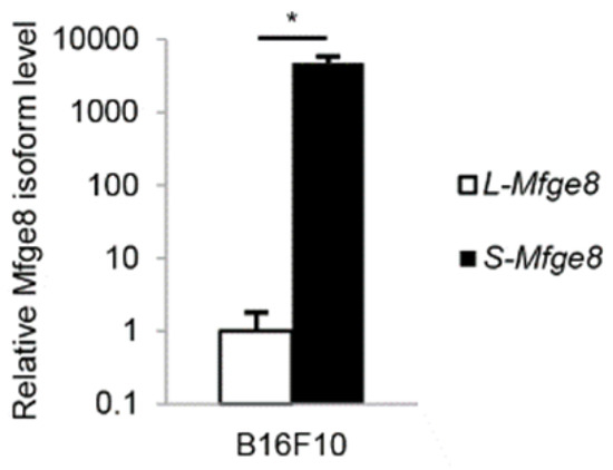 TGF-β Increases MFGE8 Production in Myeloid-Derived Suppressor Cells to ...