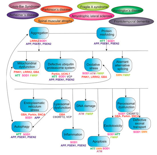 The Cutting Edge of Disease Modeling: Synergy of Induced Pluripotent ...
