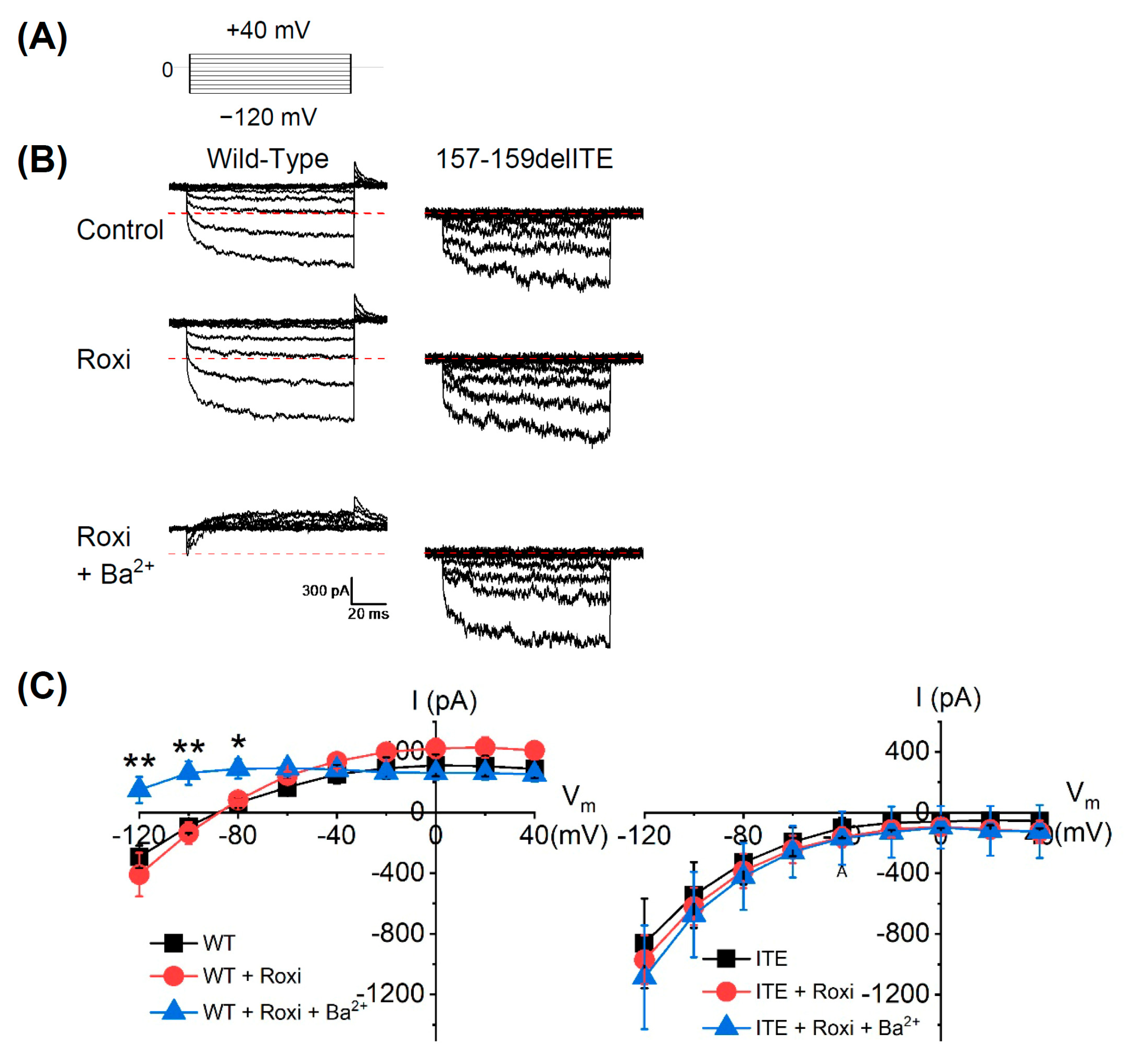Pathophysiological and Pharmacological Characteristics of KCNJ5 157-159delITE Somatic Mutation ...