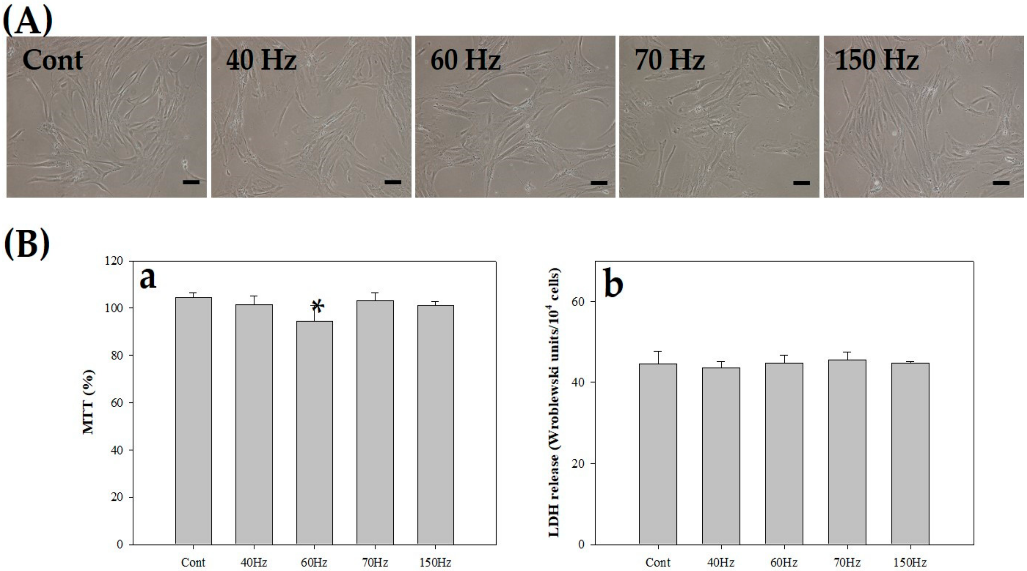 Increasing Odontoblast-like Differentiation from Dental Pulp Stem Cells ...