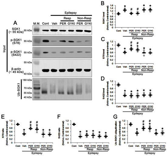 AMPA Receptor Antagonists Facilitate NEDD4-2-Mediated GRIA1 ...