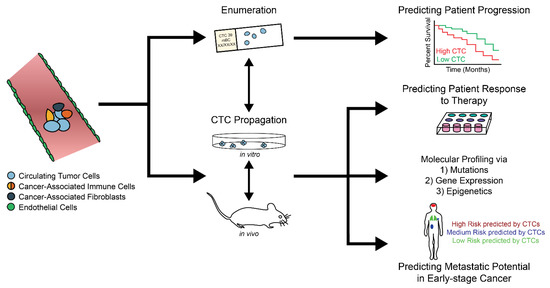 Circulating Tumor Cells: Technologies and Their Clinical Potential in ...