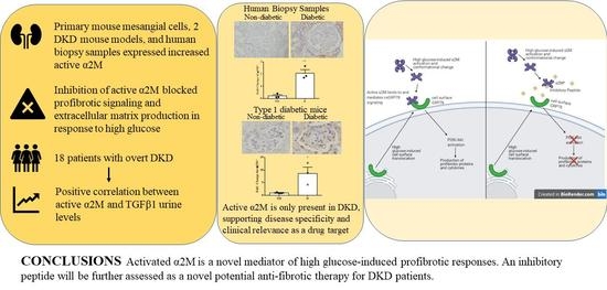 Biomedicines | Free Full-Text | Activated Alpha 2-Macroglobulin Is a ...
