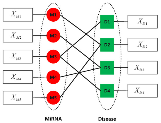 Heterogeneous Types of miRNA-Disease Associations Stratified by Multi-Layer Network Embedding ...