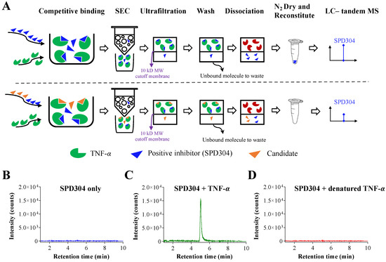 A Novel Competitive Binding Screening Assay Reveals Sennoside B as a ...