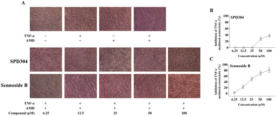 A Novel Competitive Binding Screening Assay Reveals Sennoside B as a ...
