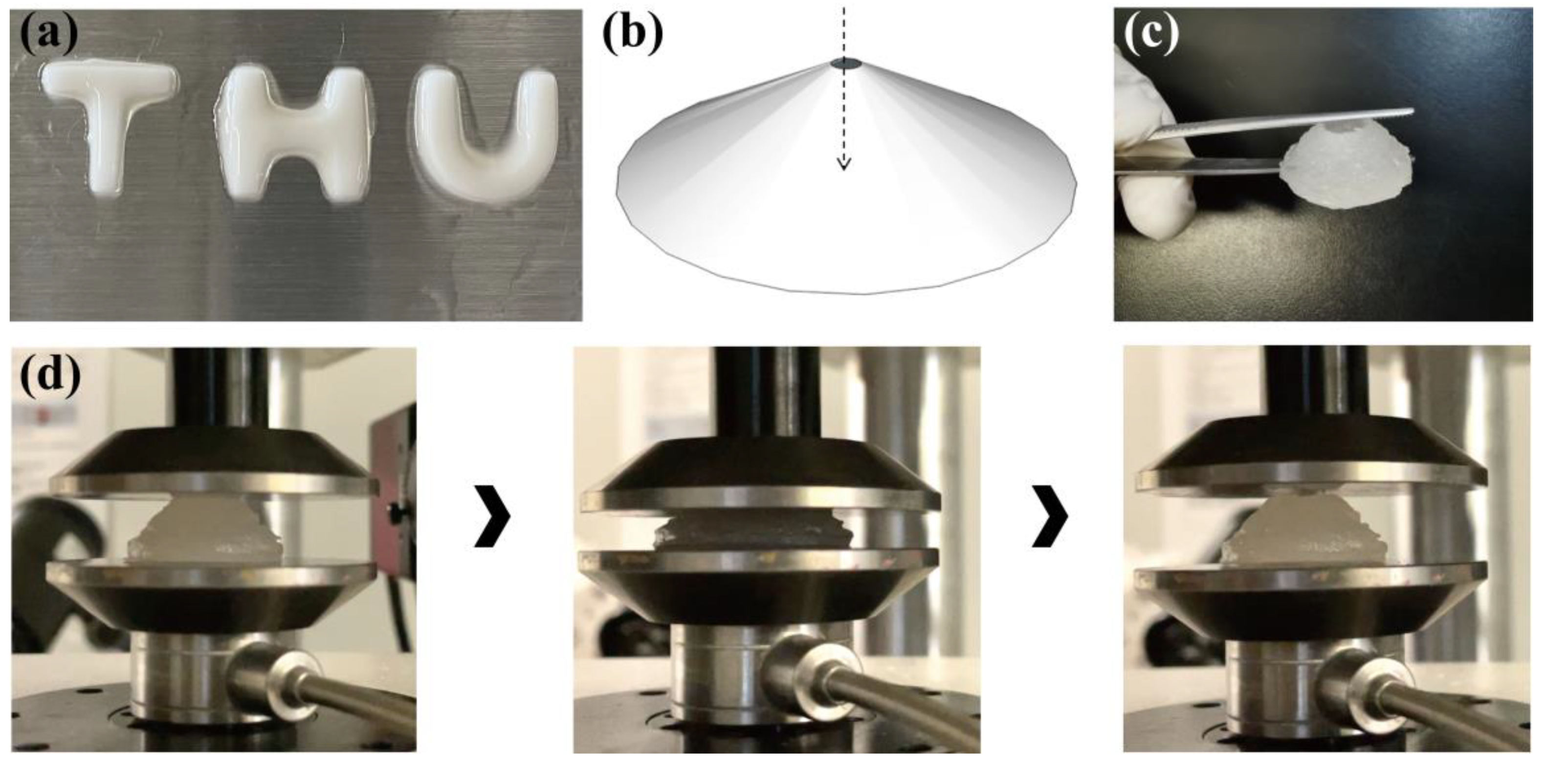 Affinity-Controlled Double-Network Hydrogel Facilitates Long-Term ...