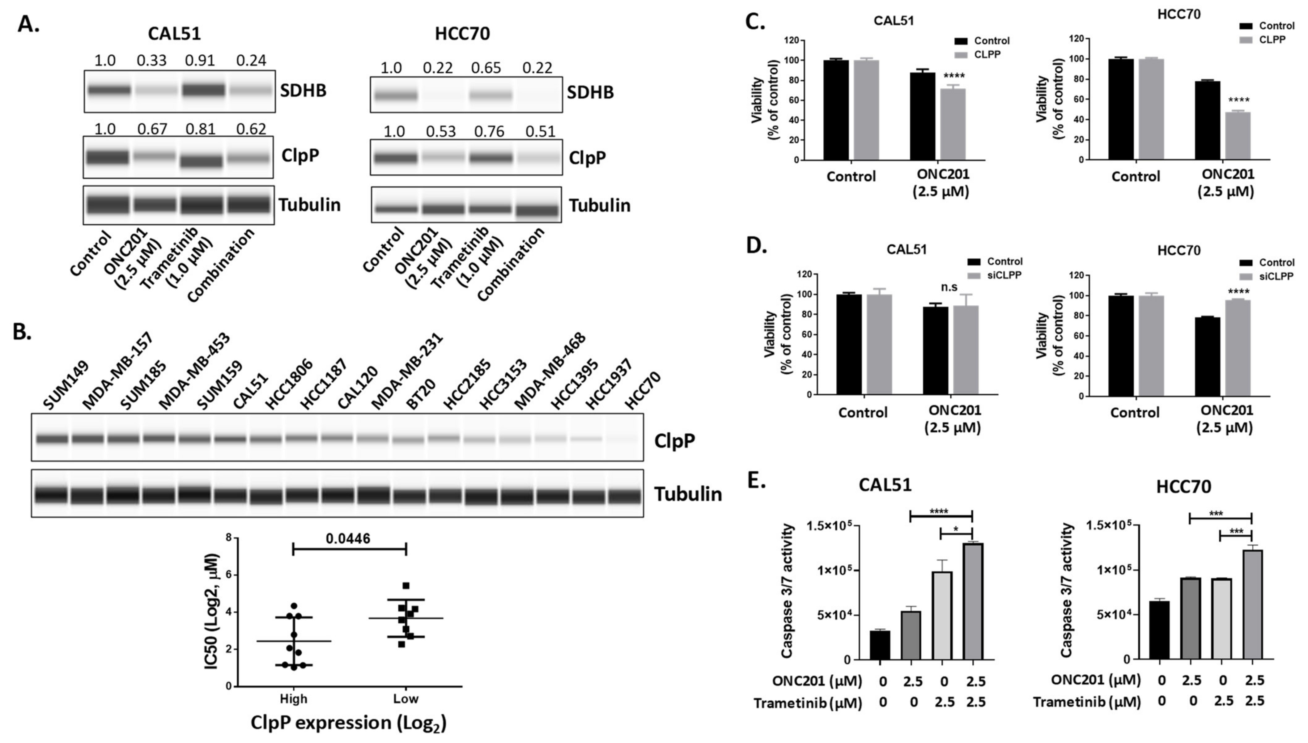 ONC201 and an MEK Inhibitor Trametinib Synergistically Inhibit the ...