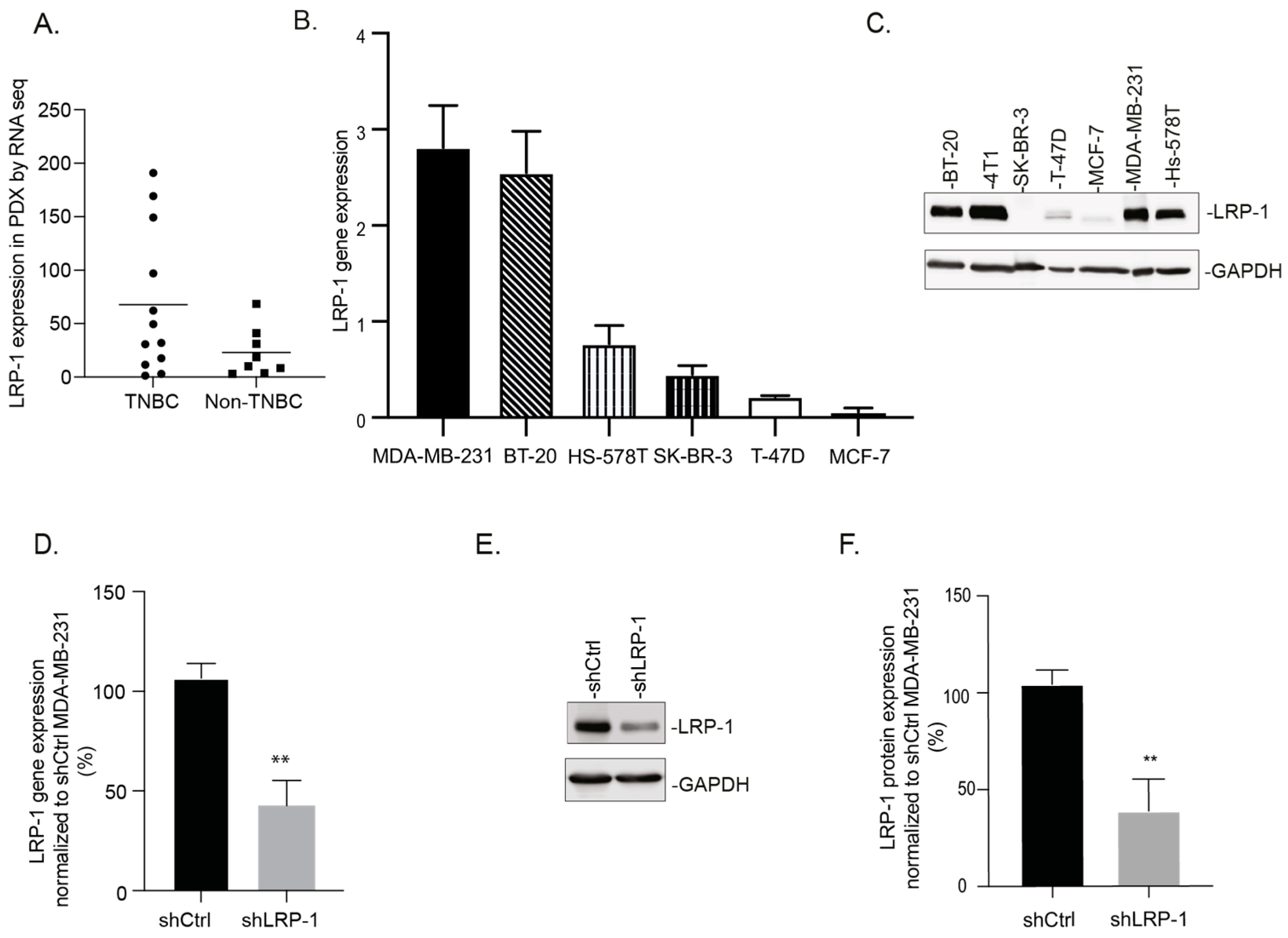 LRP-1 Matricellular Receptor Involvement in Triple Negative Breast Cancer Tumor Angiogenesis