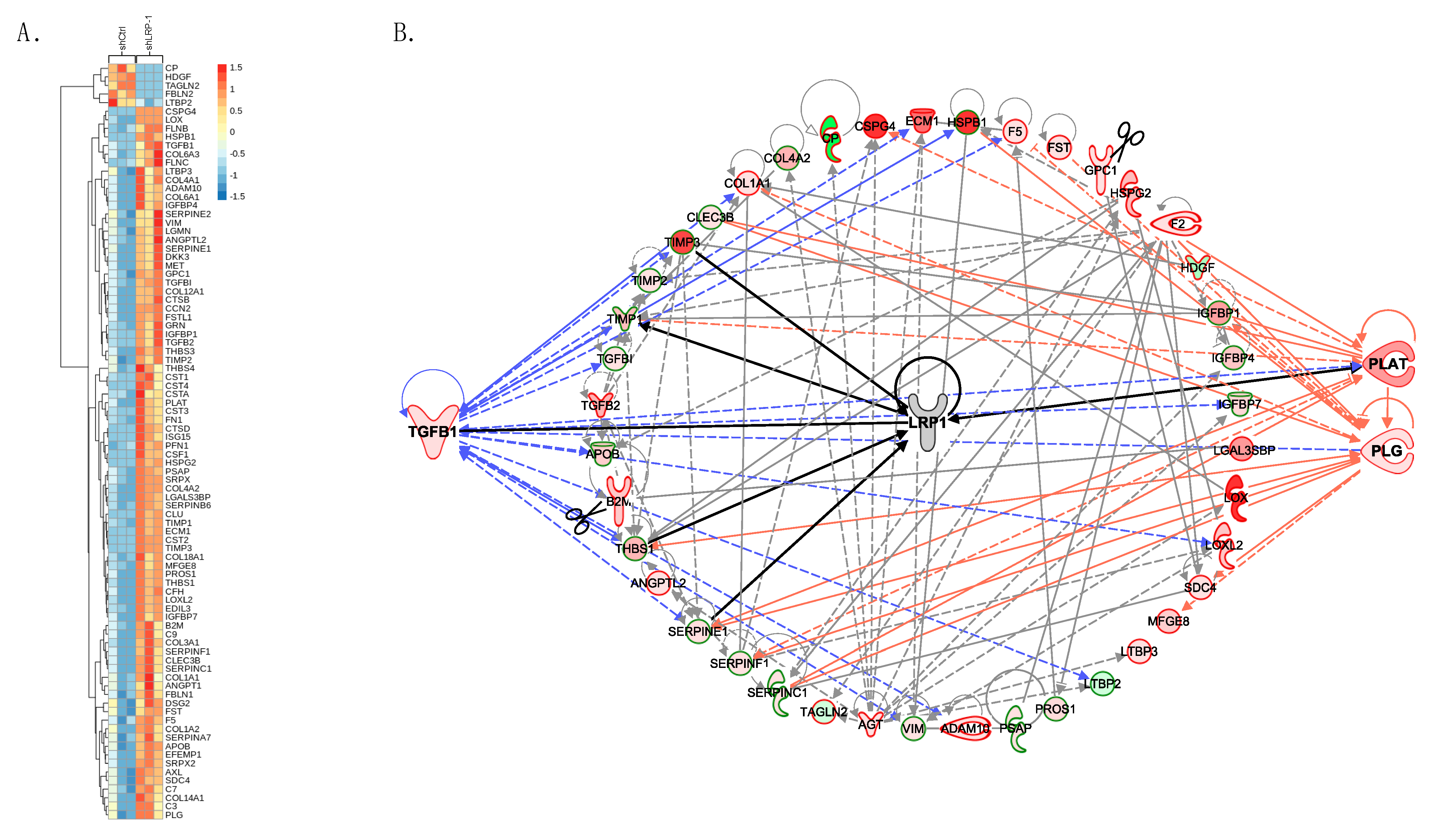 LRP-1 Matricellular Receptor Involvement in Triple Negative Breast Cancer Tumor Angiogenesis