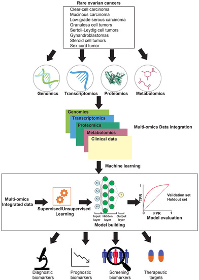 The Role of Omics Approaches to Characterize Molecular Mechanisms of Rare Ovarian Cancers ...