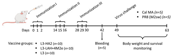 A Live Probiotic Vaccine Prototype Based on Conserved Influenza a Virus ...