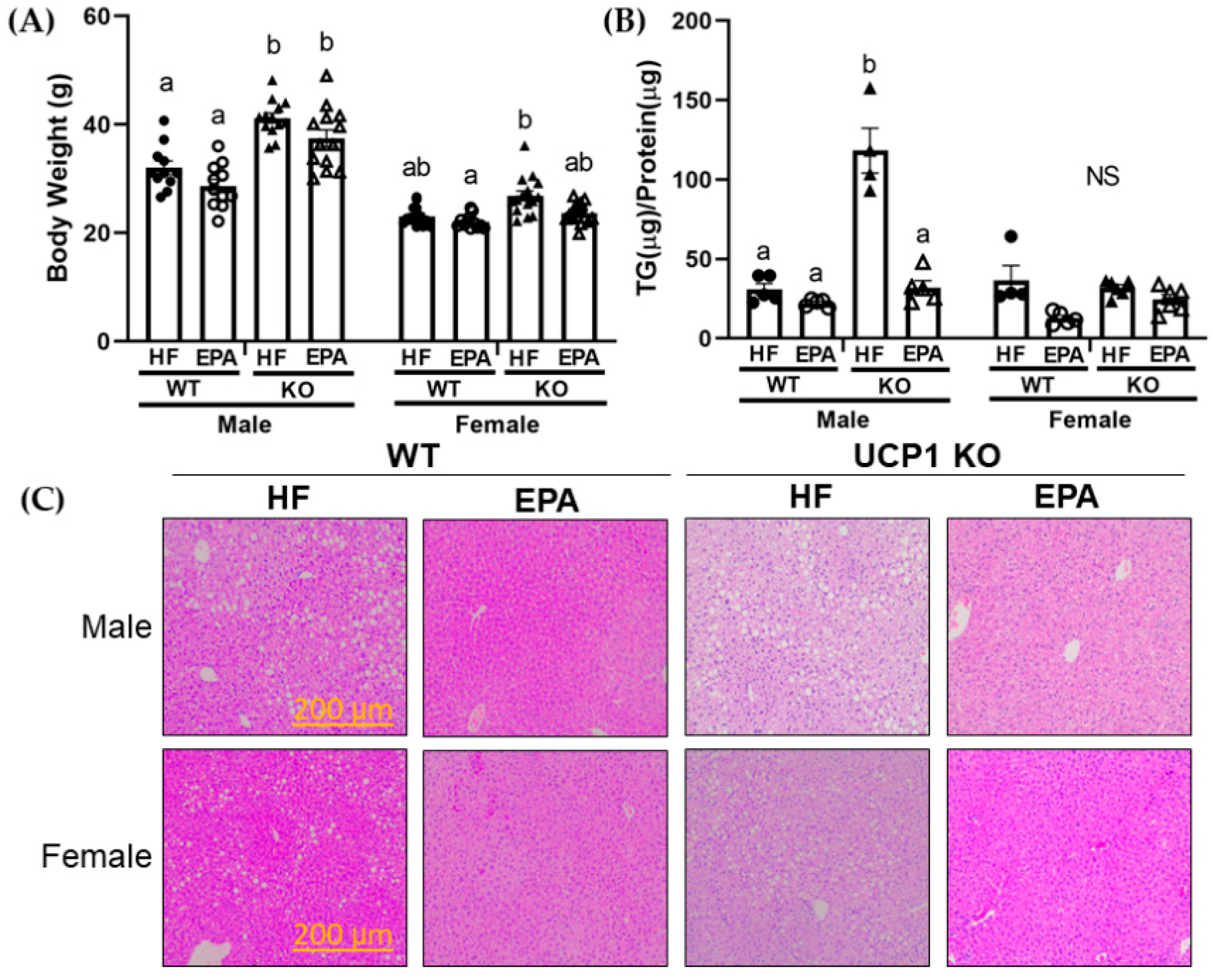 Biomedicines Free Full Text Sex Dependent Effects Of