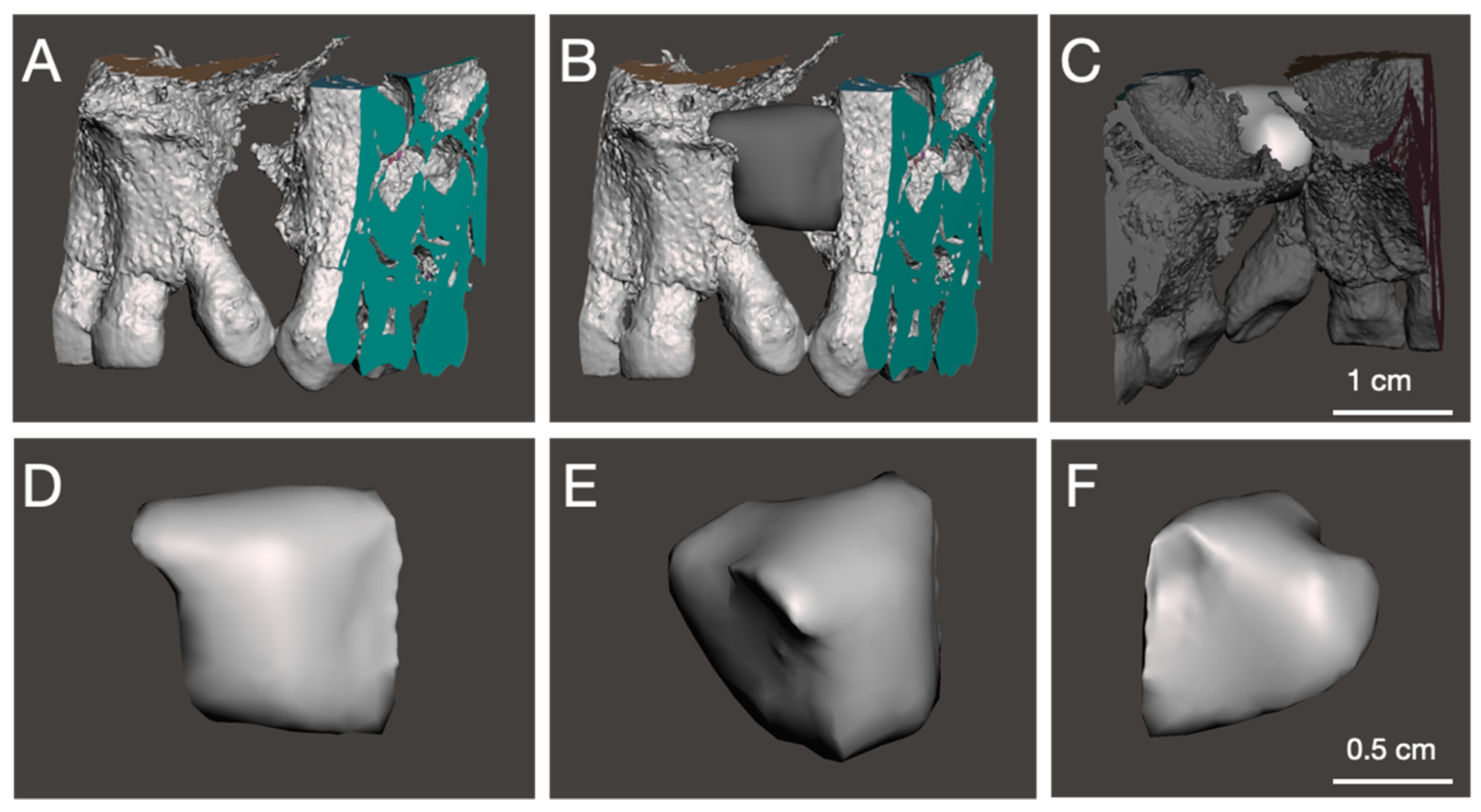 The Challenge of 3D Bioprinting of Composite Natural Polymers PLA ...