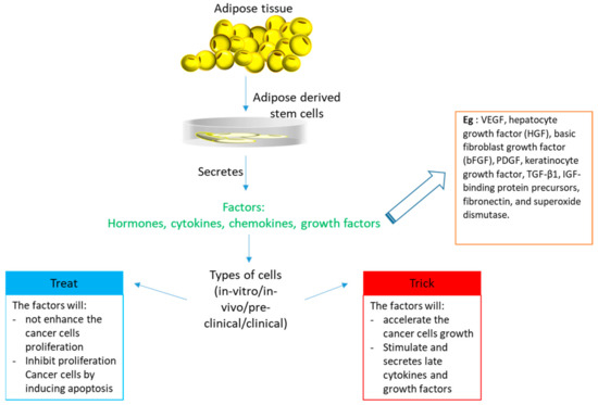 Adipose-Derived Stem Cell: “Treat or Trick”