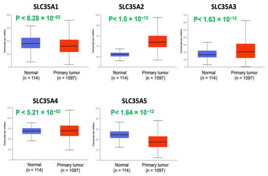 Biomedicines | Free Full-Text | Novel Insights into the Prognosis and ...