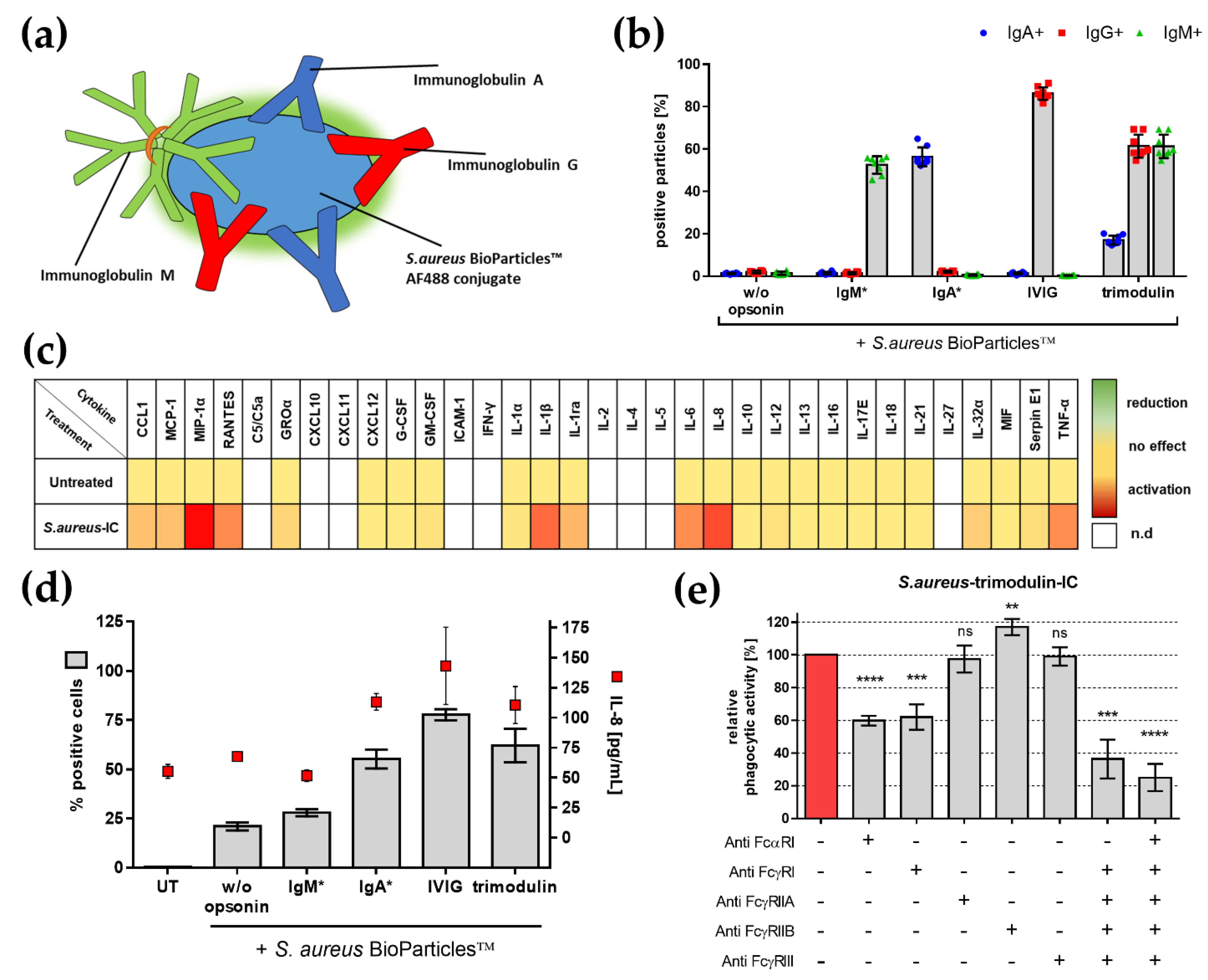 Biomedicines | Free Full-Text | The Functional Role of IgA in the IgM ...