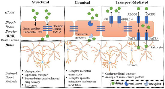 Drug Delivery Challenges in Brain Disorders across the Blood–Brain ...