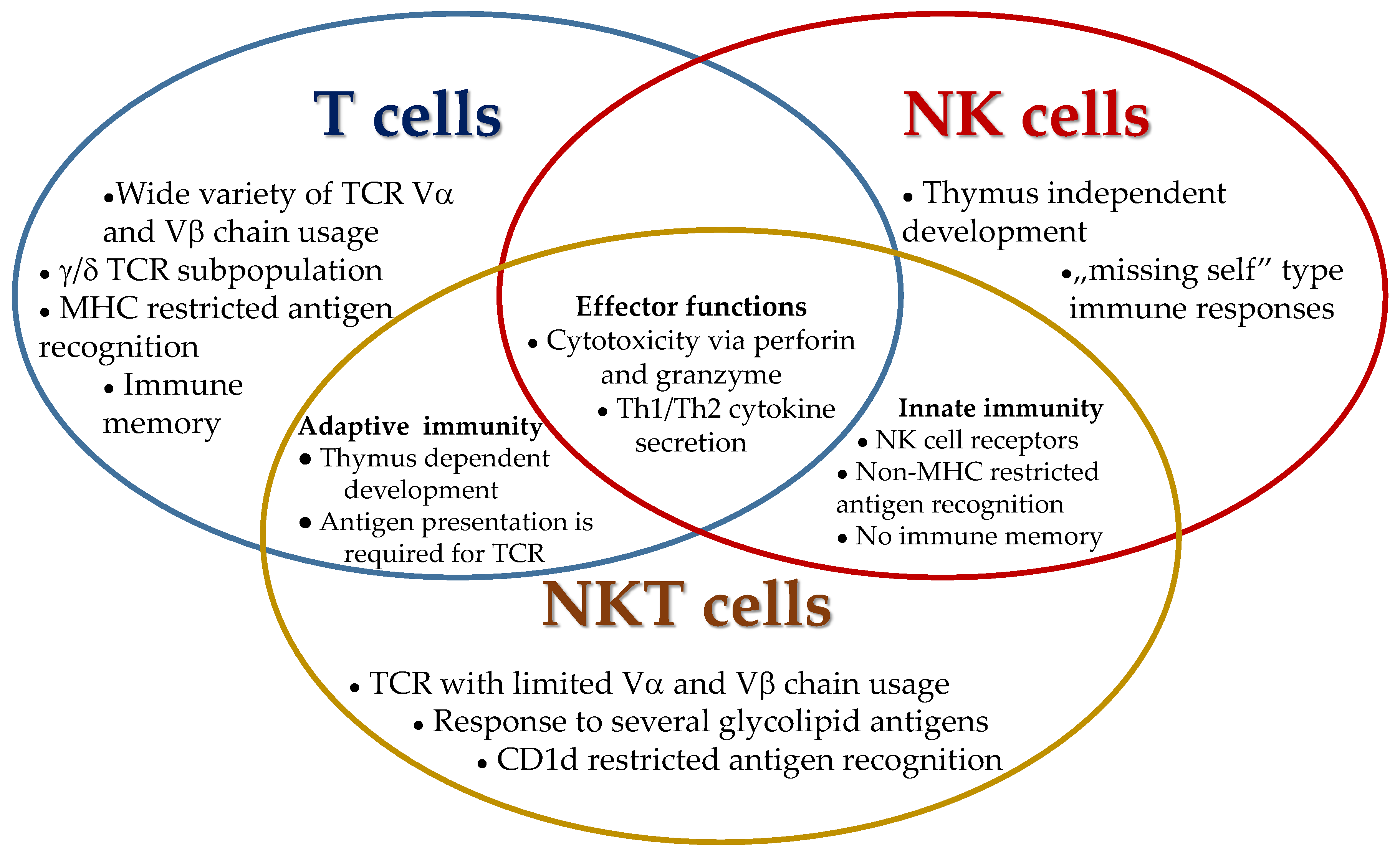 The Role of Type I and Type II NKT Cells in Materno-Fetal Immunity