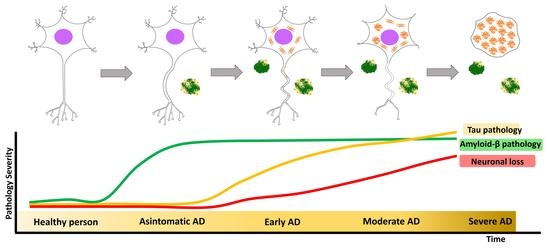 Biomedicines | Free Full-Text | Current Understanding of the ...