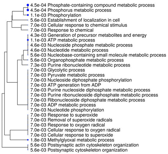 Biomedicines | Special Issue : Biological Aspects of Drug Addiction Biomedicines | Special Issue : Biological Aspects of Drug Addiction