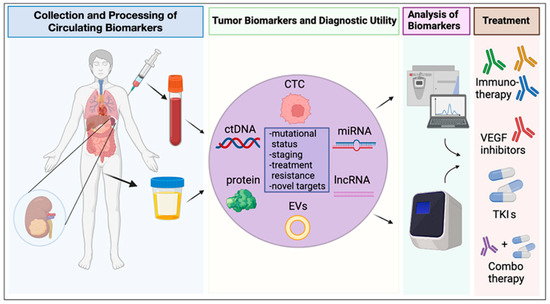Biomedicines | Free Full-Text | The Role of Circulating Biomarkers in ...