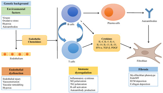 Systemic Sclerosis: From Pathophysiology to Novel Therapeutic Approaches