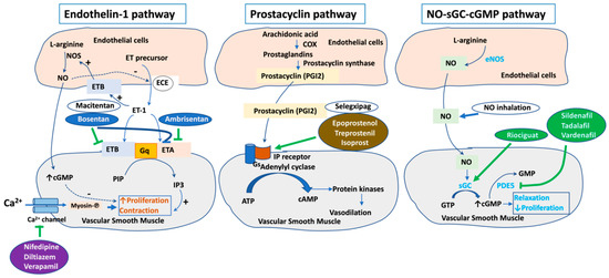 Biomedicines | Free Full-Text | Epigenetic Mechanisms as Emerging ...