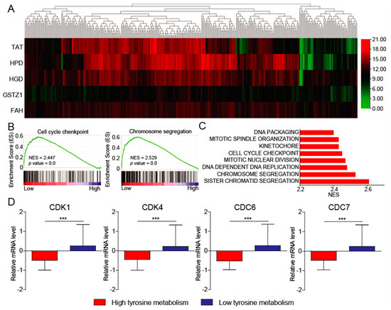 Biomedicines | Free Full-Text | Decreased SLC27A5 Suppresses Lipid ...