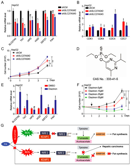 Biomedicines | Free Full-Text | Decreased SLC27A5 Suppresses Lipid ...