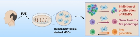 Biomedicines | Free Full-Text | Human Hair Follicle-Derived Mesenchymal ...
