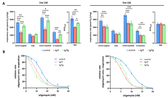 Genetic Complementation of ATP Synthase Deficiency Due to Dysfunction ...