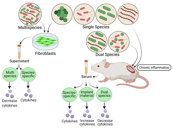 Biomedicines | Free Full-Text | Bacterial-Specific Induction of ...