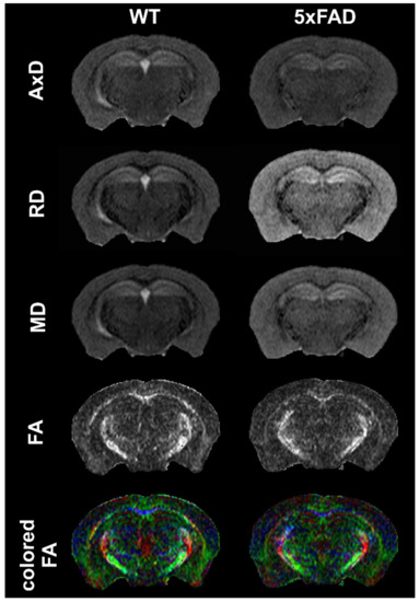 Neuroimaging of Mouse Models of Alzheimer’s Disease