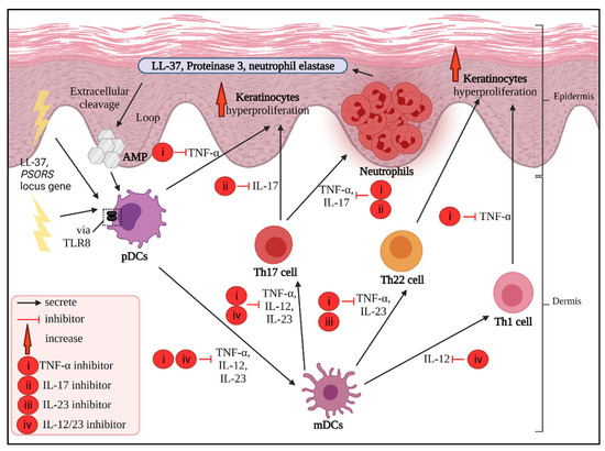 Biomedicines | Free Full-Text | Orchestrated Cytokines Mediated by ...