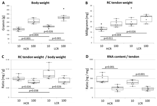 Biomedicines | Special Issue : 10th Anniversary of Biomedicines ...