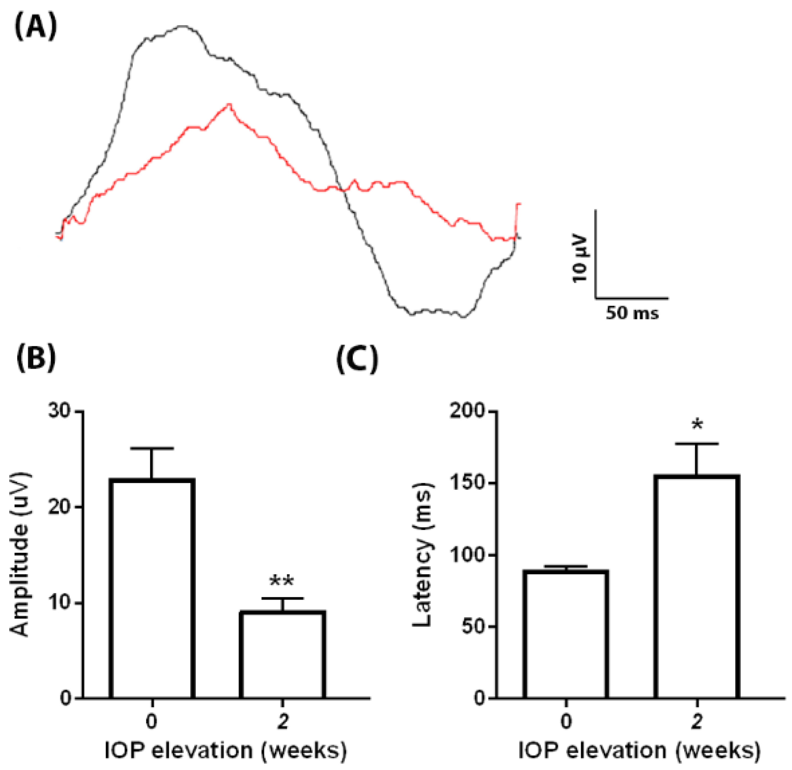 Early-Onset Glaucoma in egl1 Mice Homozygous for Pitx2 Mutation