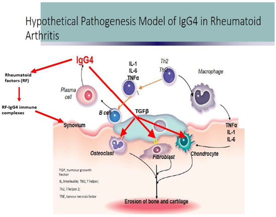 Biomedicines | Free Full-Text | Frequency and Clinical Significance of ...