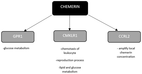 Biomedicines | Free Full-Text | Chemerin as Potential Biomarker in ...