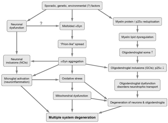 Heterogeneity of Multiple System Atrophy: An Update