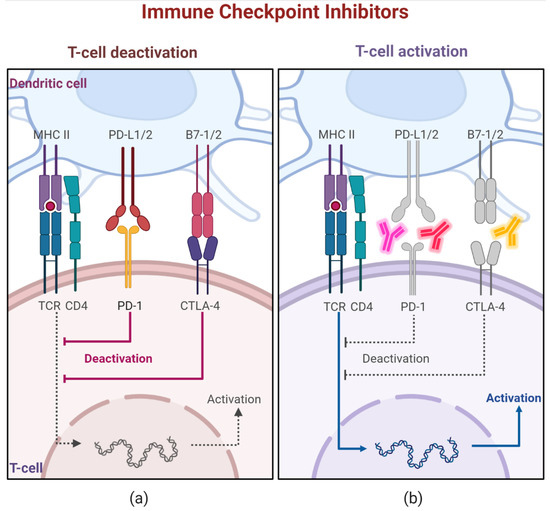 Checkpoint Inhibitors and Induction of Celiac Disease-like Condition