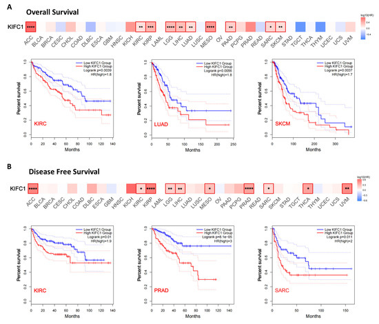 An Integrative Pan-Cancer Analysis of Kinesin Family Member C1 (KIFC1 ...