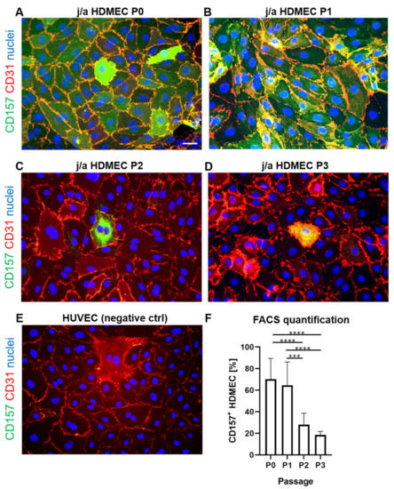 Expression Profile of CD157 Reveals Functional Heterogeneity of ...